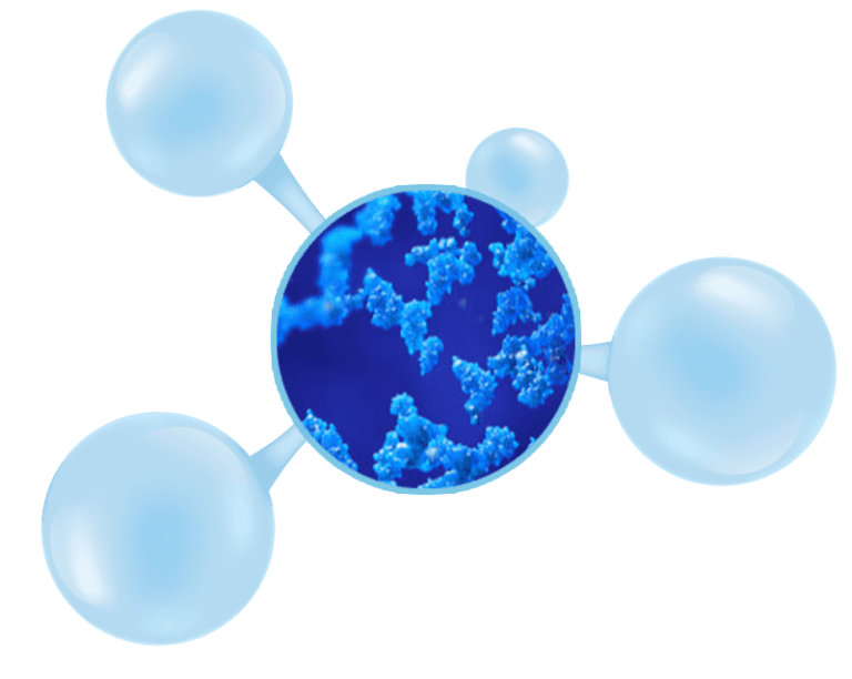 Mannose 6-Phosphate (M6P) – M6P