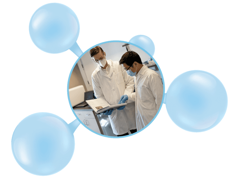 Collaboration – M6P